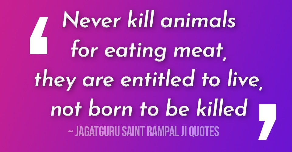 Stop Eating Meat-Eating Meat is a Heinous Sin | SA News Channel