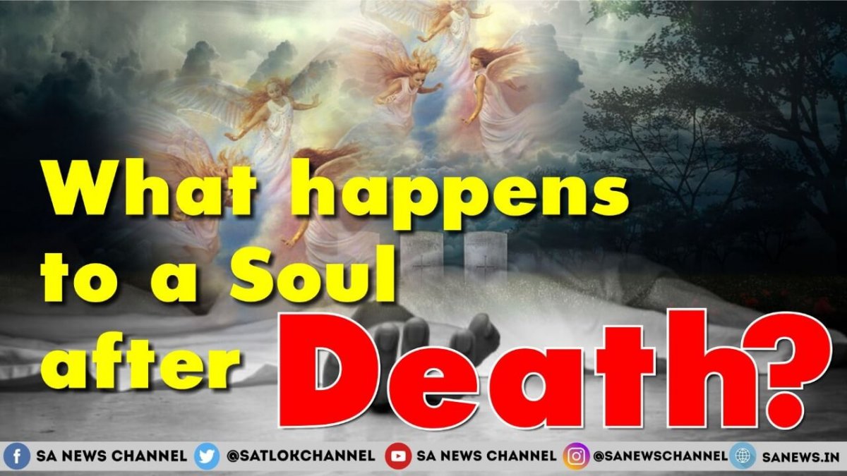 What is the biggest truth of life?: What happens to a soul after death?